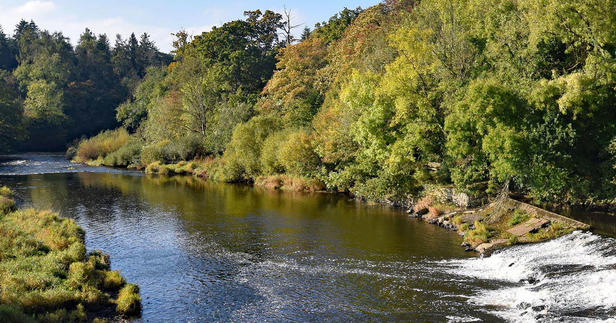 MIKE+ Rivers | River Modelling and Simulation Software