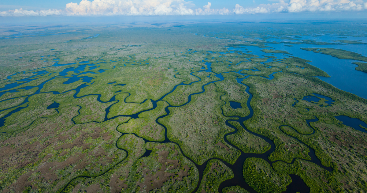 MIKE SHE | Integrated Hydrological Modelling Software