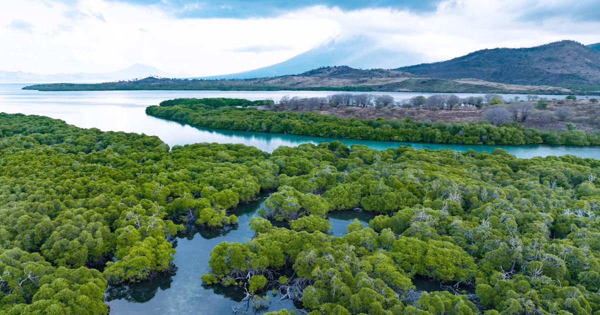 DHI - Share water for a sustainable future