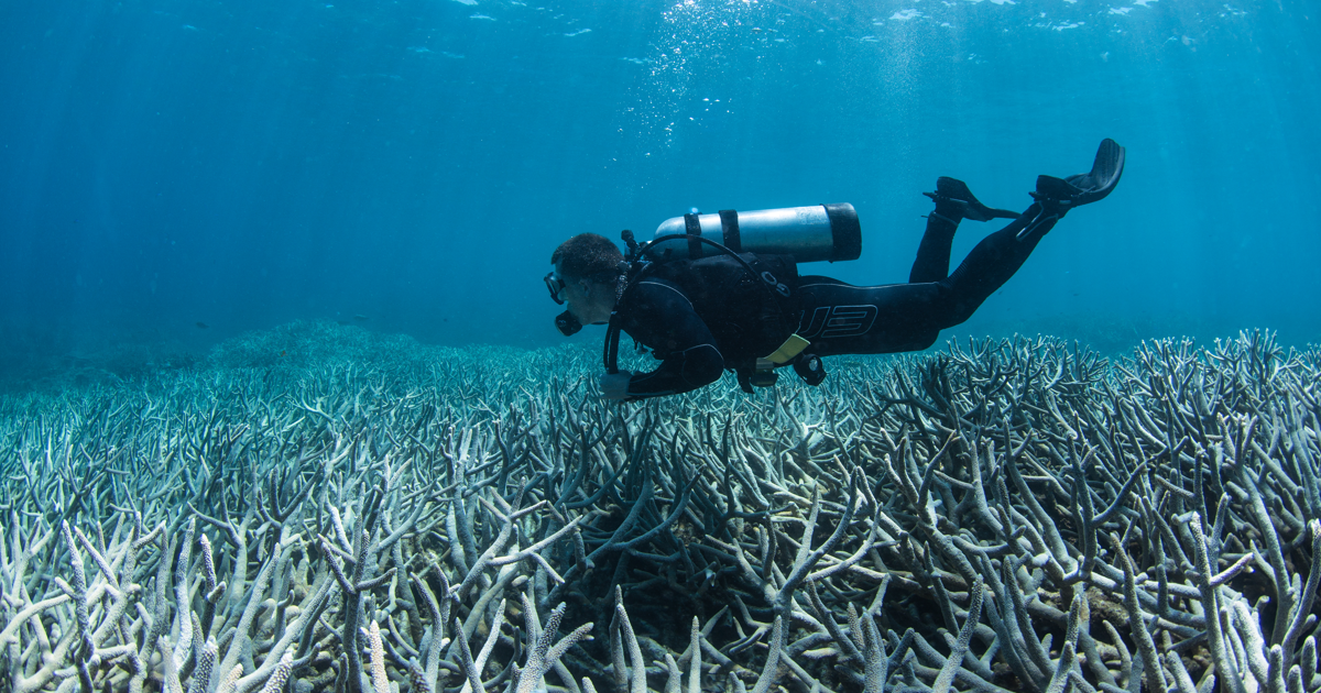 DHI takes part in UNDP’s Ocean Innovation Challenge