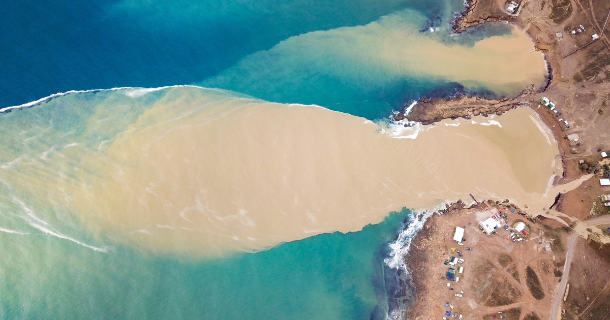 MIKE 21/3 Mud Transport | Modelling Software