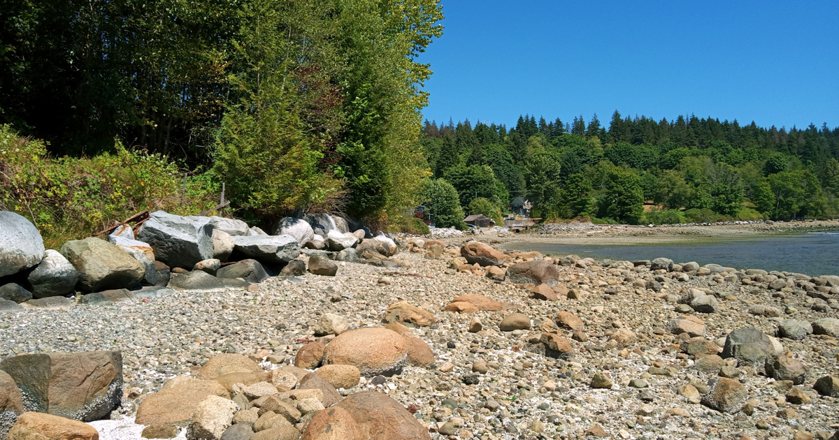 Tsleil-Waututh Nation shoreline adaptation and restoration