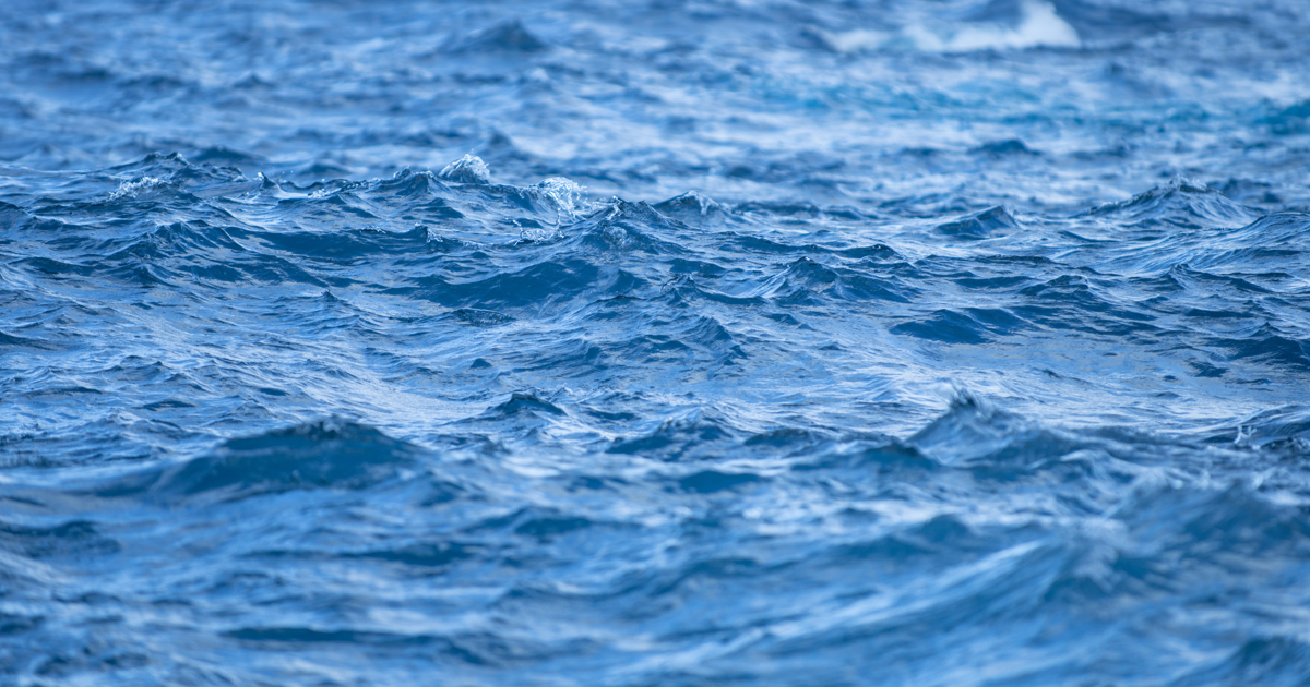 Marine GO - Subscription Package