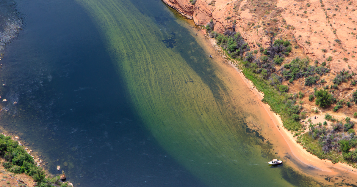 MIKE 21 Curvilinear Flow Model | River Modelling Software